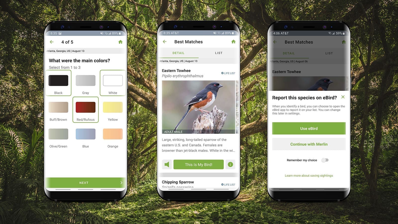 Help Identifying Birds – Great Backyard Bird Count