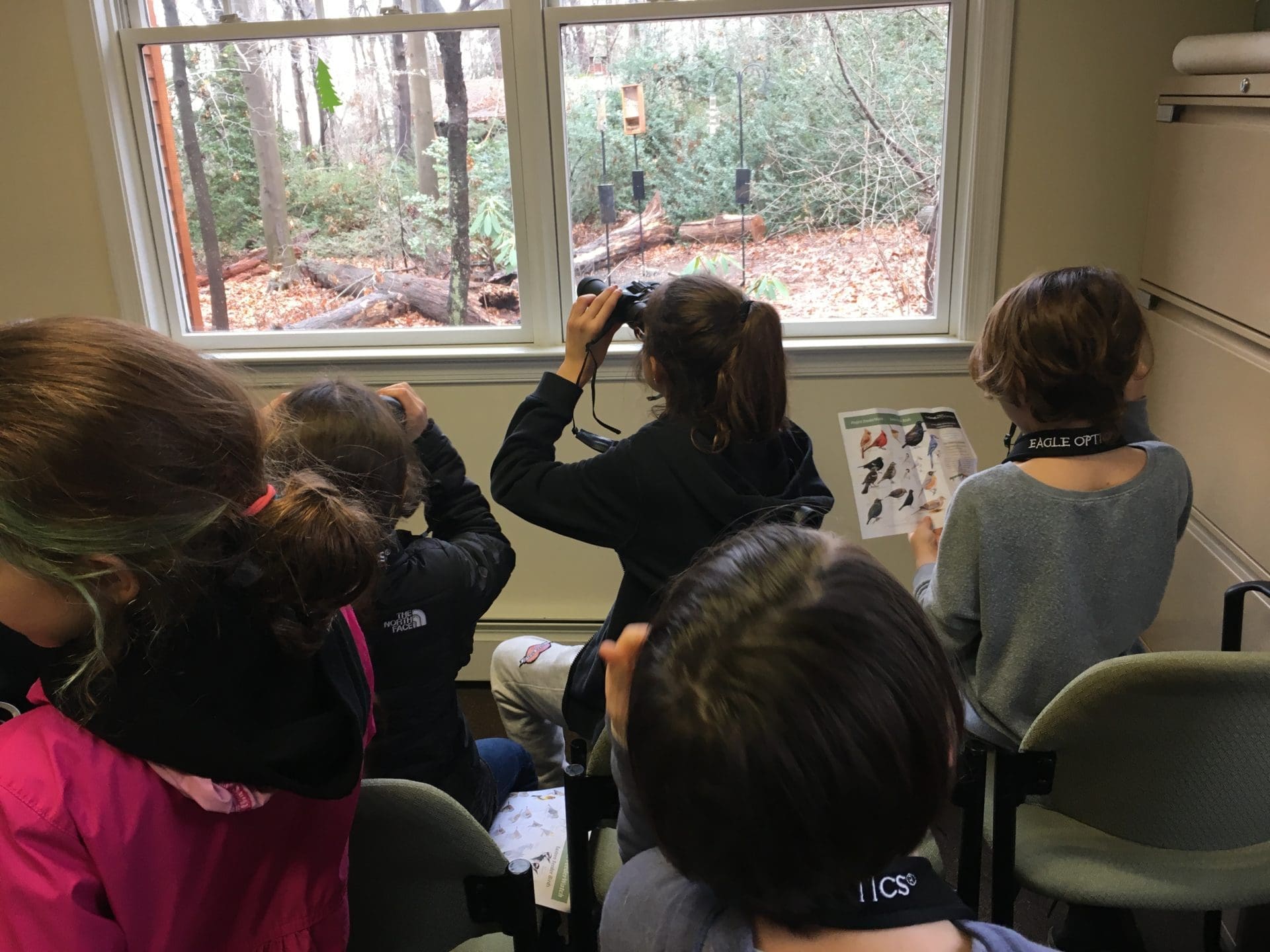 Instructions for Group Counts – Great Backyard Bird Count