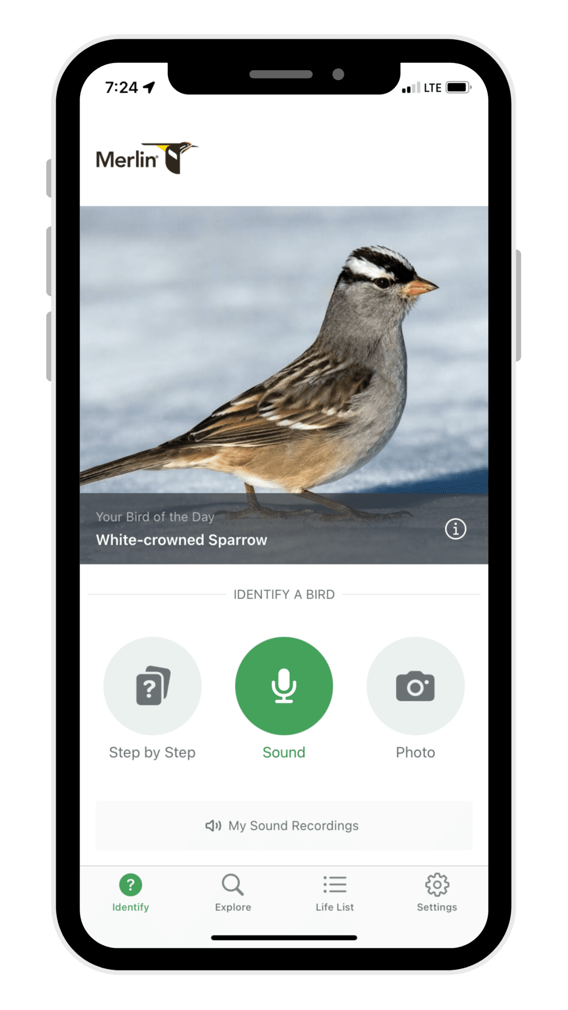 Using Merlin Bird ID to Participate – Great Backyard Bird Count
