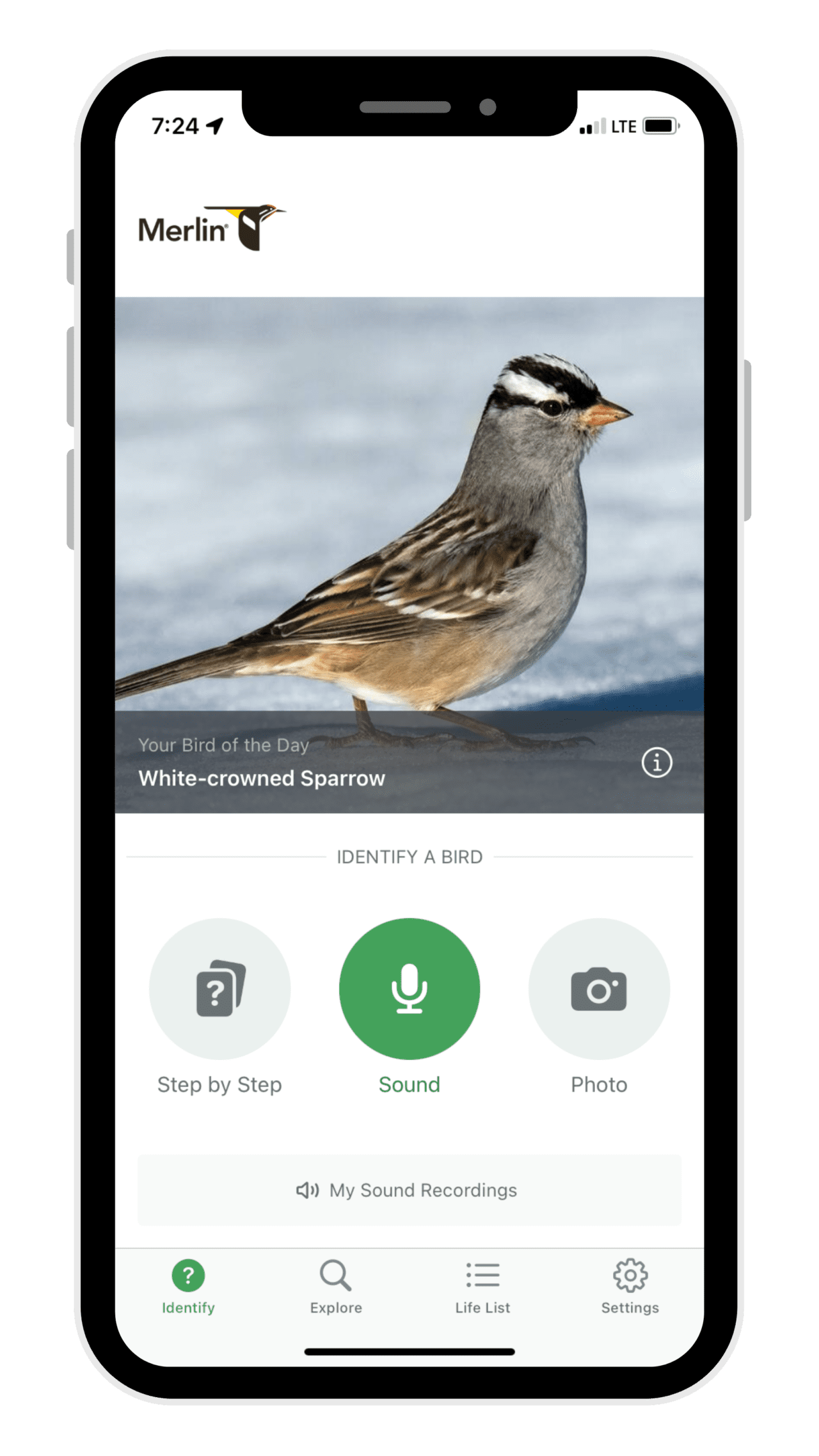Using Merlin Bird ID to Participate – Great Backyard Bird Count