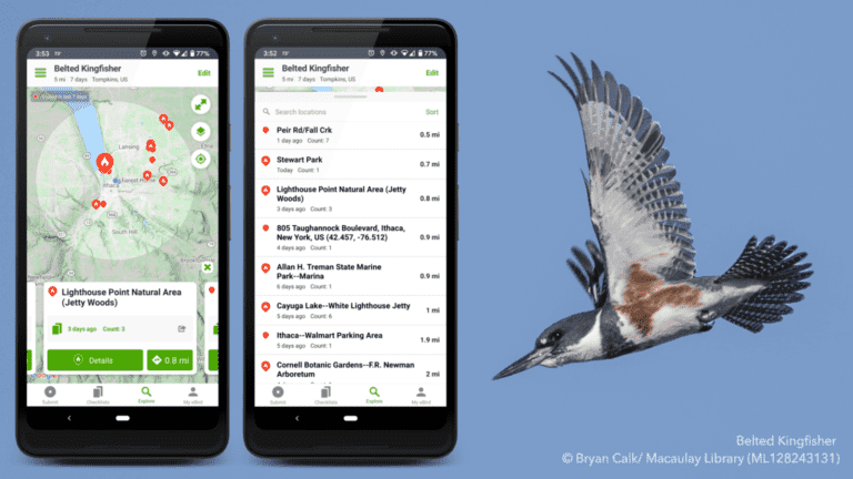 Using eBird Mobile to Participate – Great Backyard Bird Count
