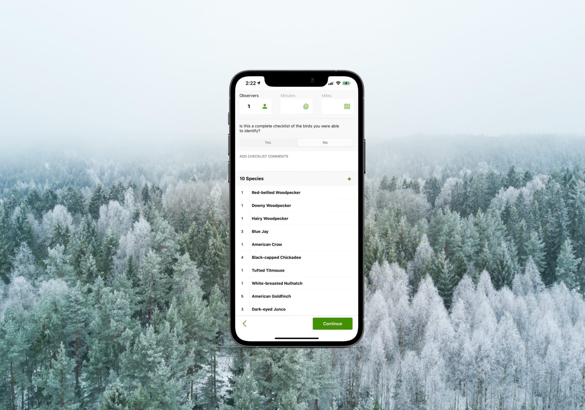 How to Participate – Great Backyard Bird Count