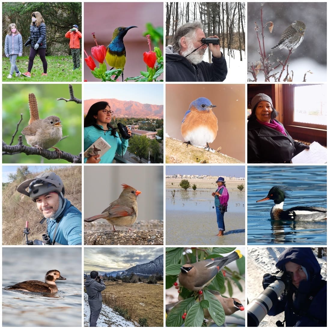 Great Backyard Bird Count