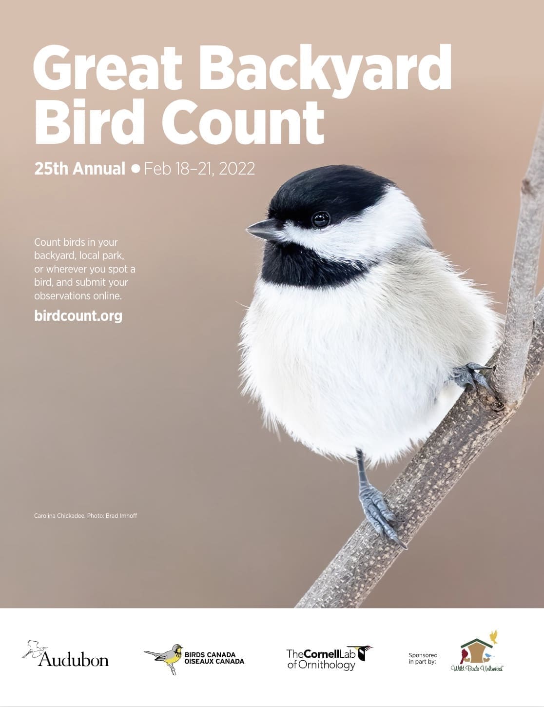 Posters – Great Backyard Bird Count
