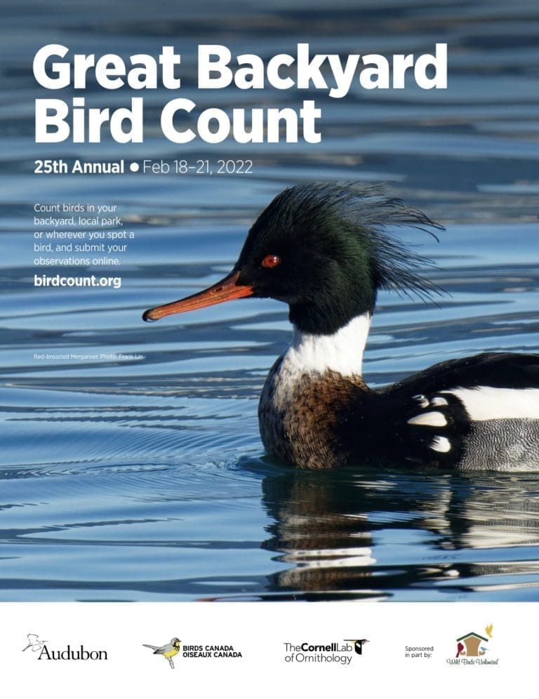 Posters – Great Backyard Bird Count