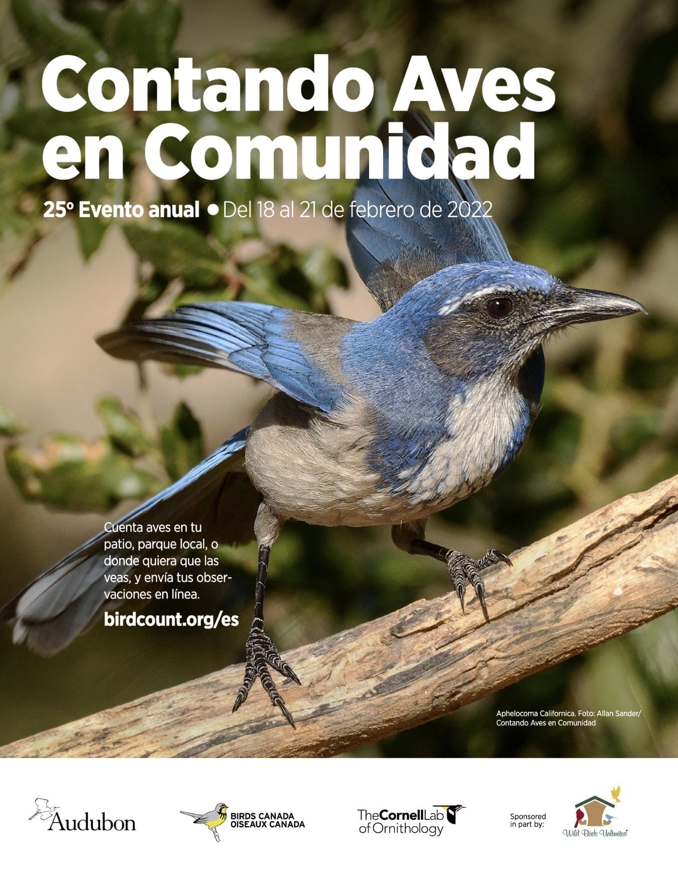 Posters – Contando Aves en Comunidad