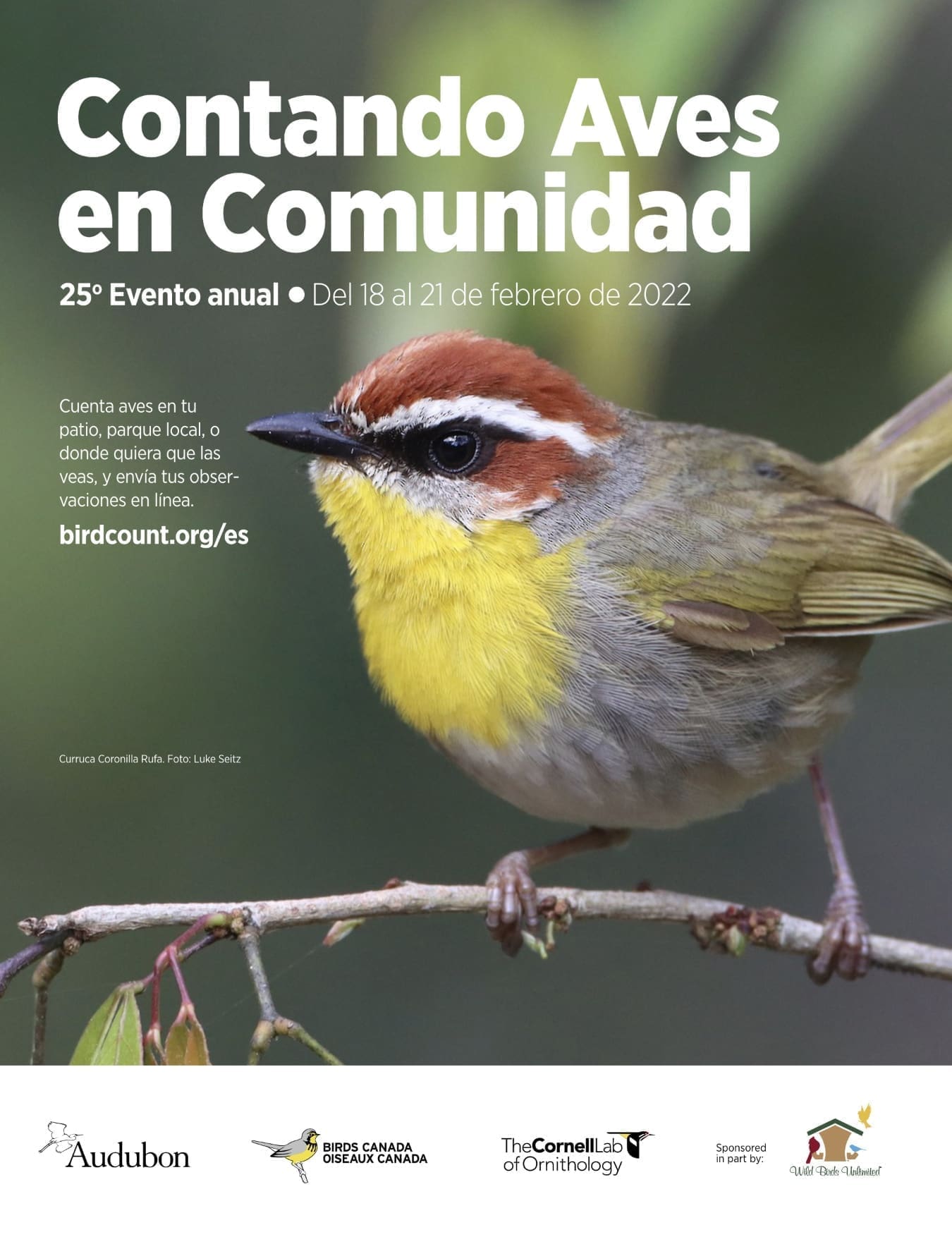 Posters – Contando Aves en Comunidad