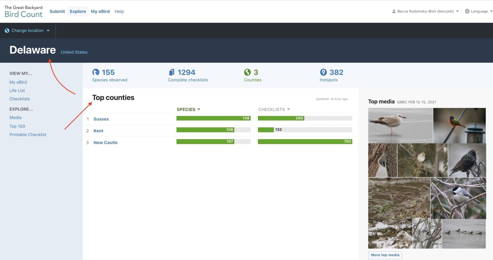 Explore Local Results – Great Backyard Bird Count