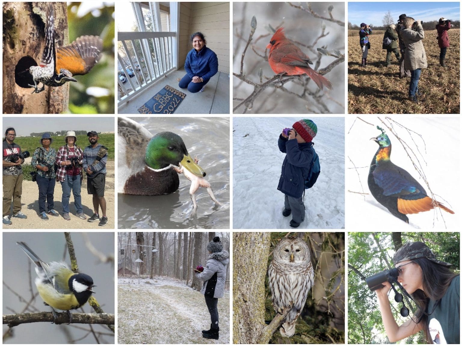 Great Backyard Bird Count – Join us February 18–21, 2022. Each year ...