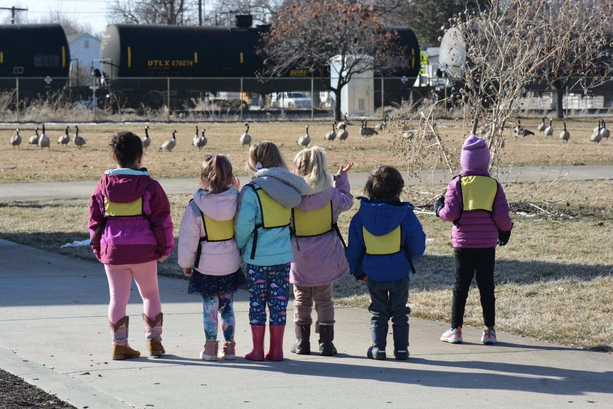 2023 Final Results – Great Backyard Bird Count