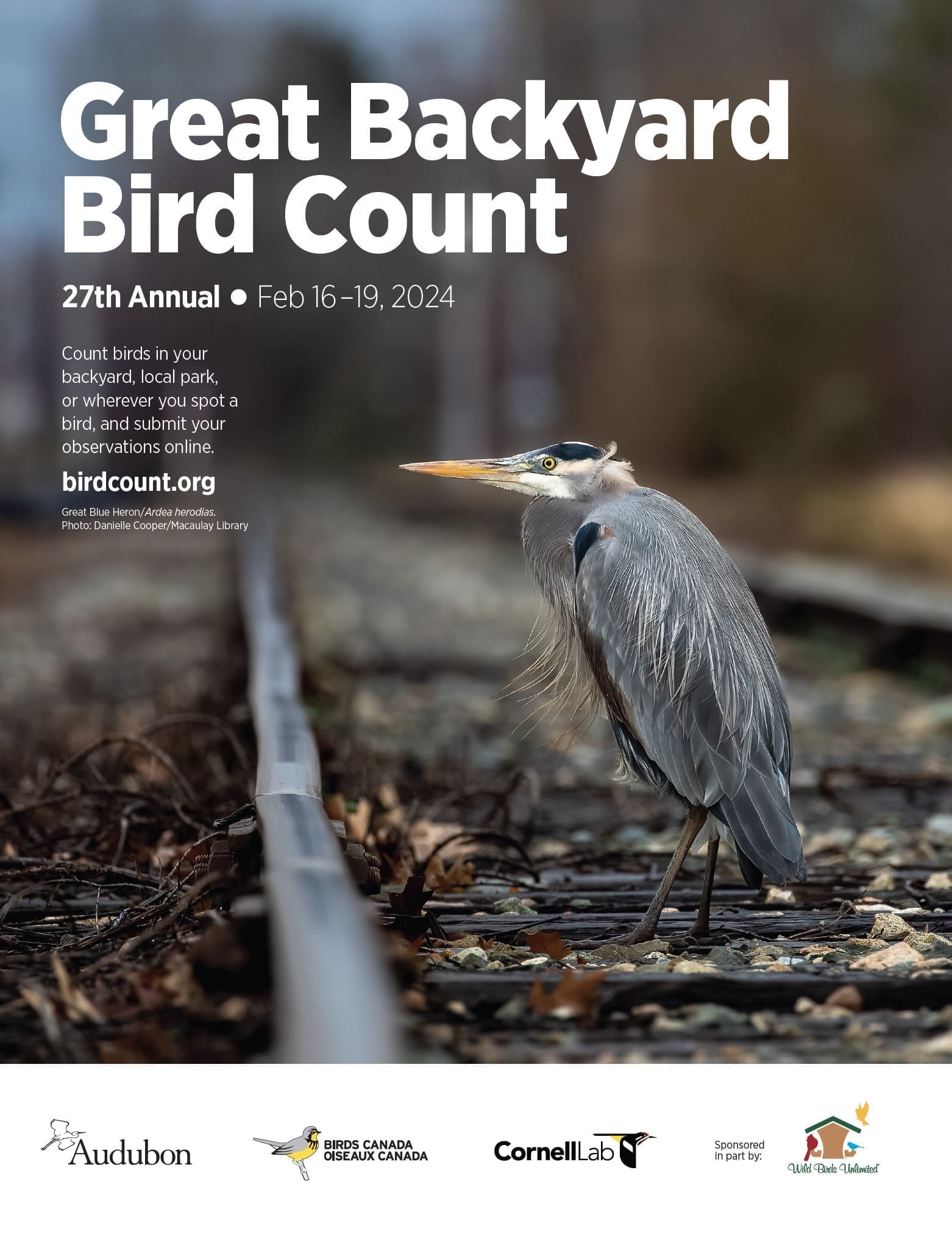 Posters – Great Backyard Bird Count