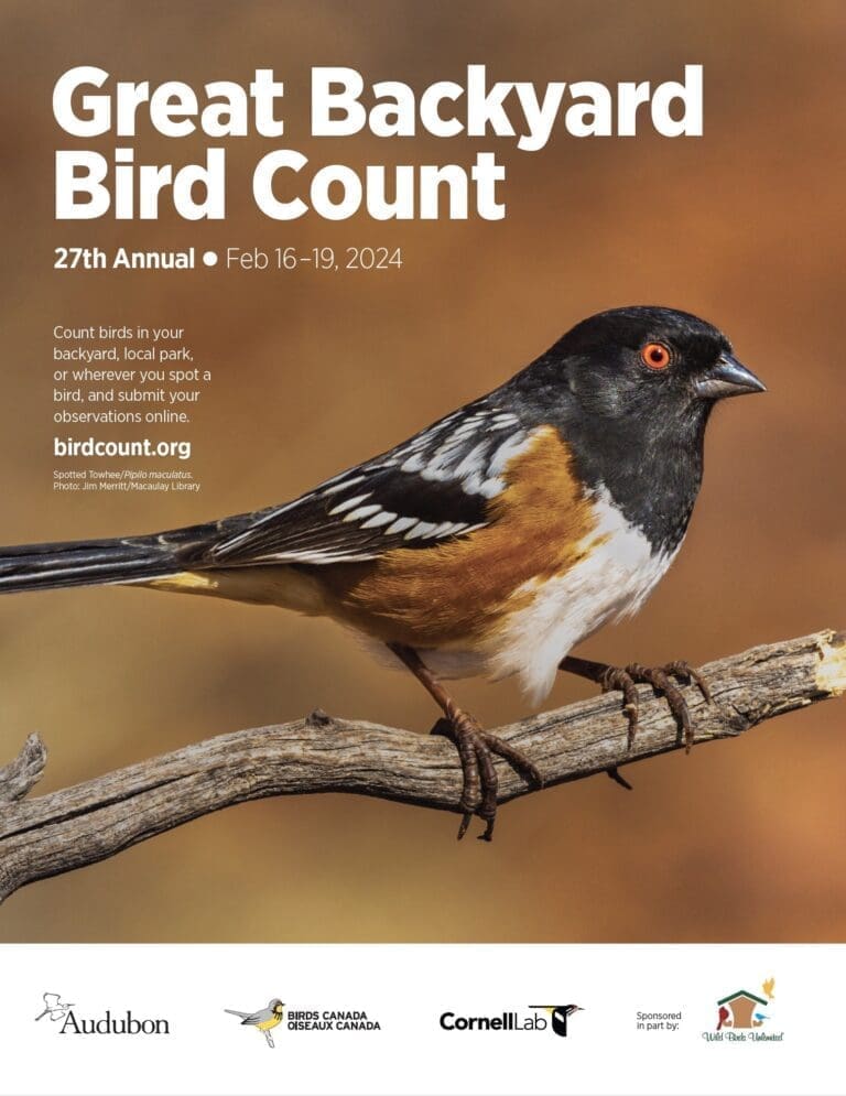 Posters – Great Backyard Bird Count