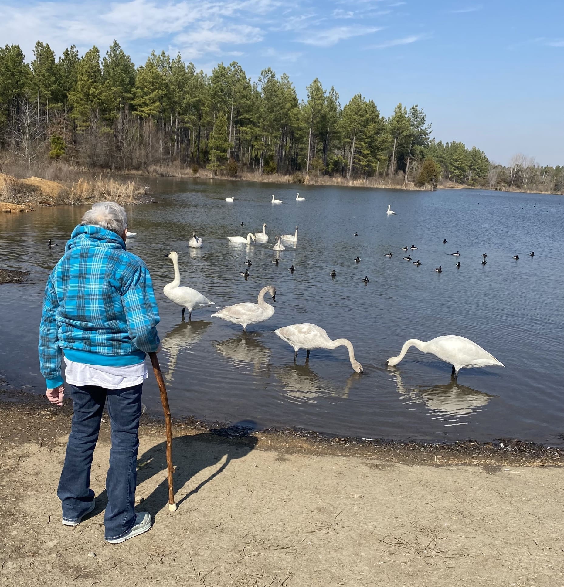 Bird Courses – Great Backyard Bird Count