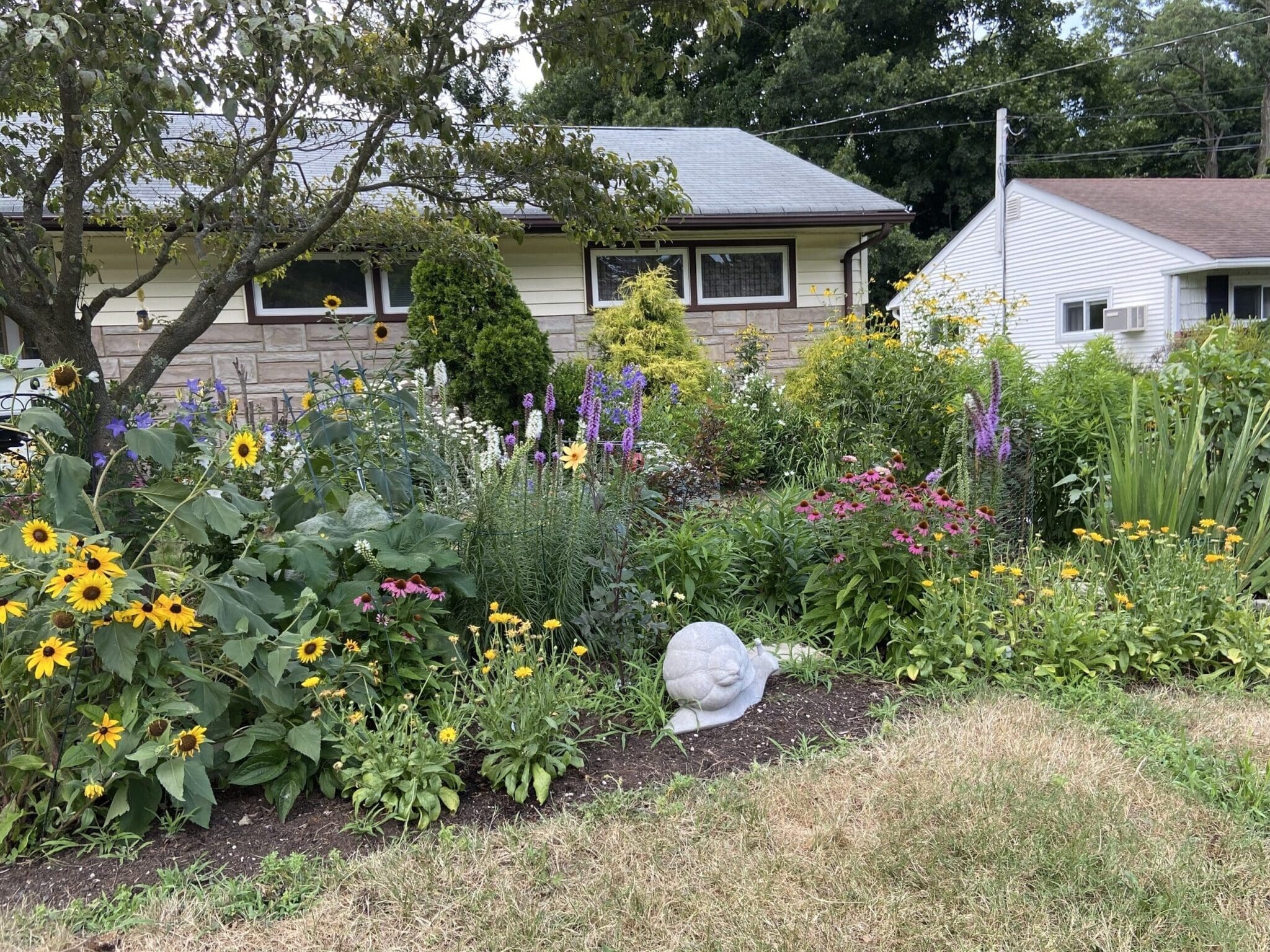 Garden for Birds – Great Backyard Bird Count