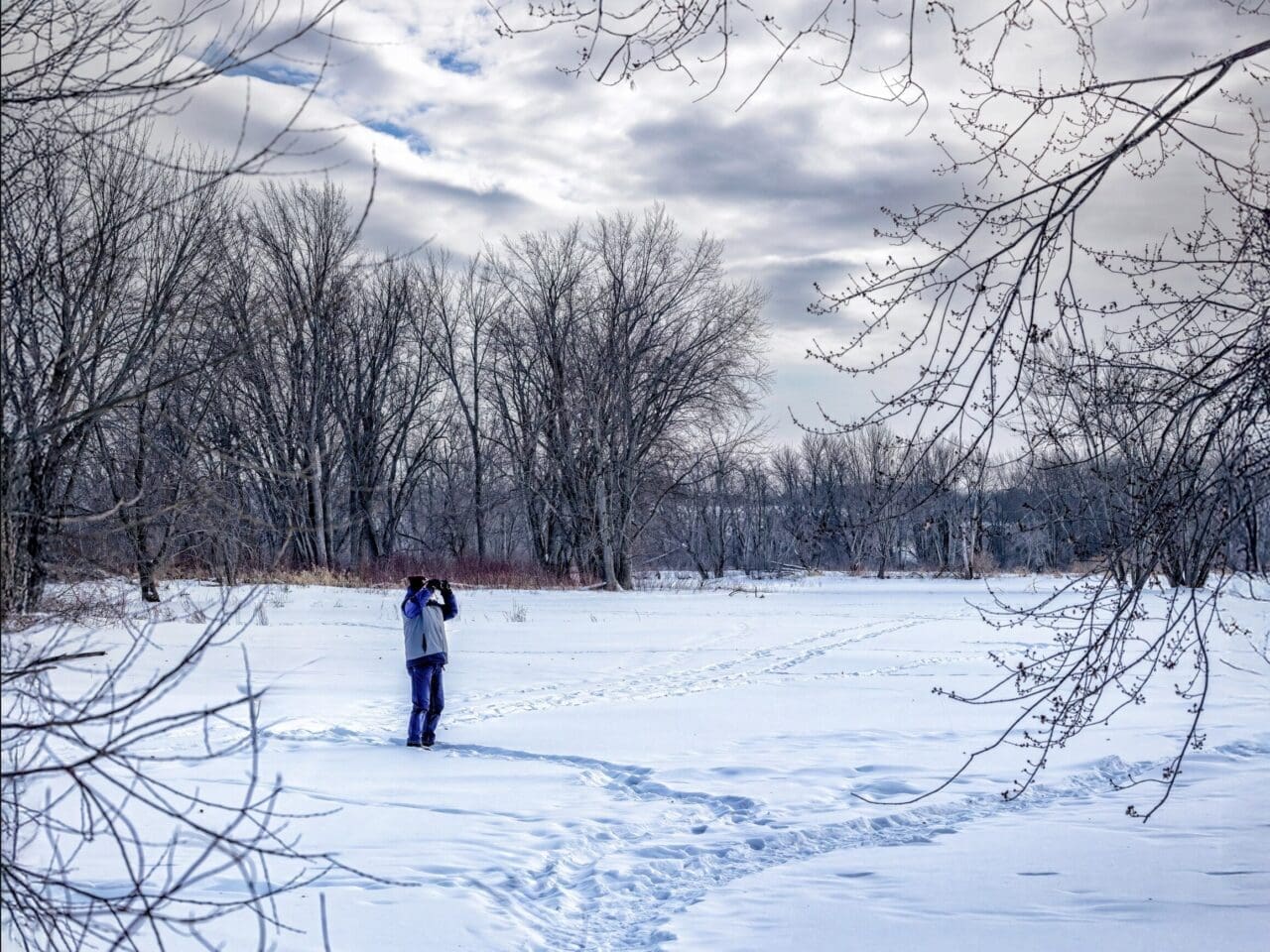 People United by Birds – Great Backyard Bird Count