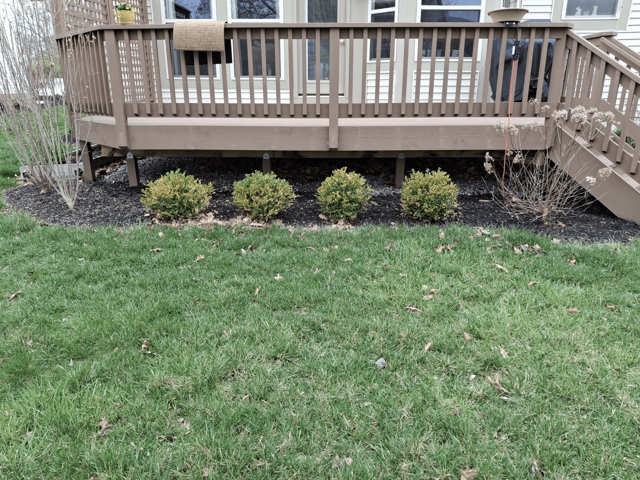 Ohio 2025 – Great Backyard Bird Count