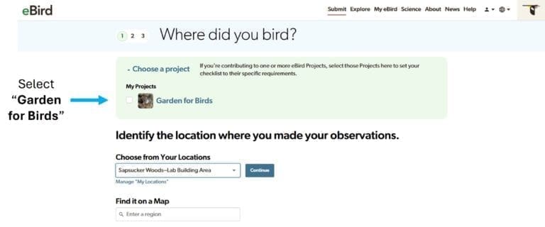 eBird Project: How to Add Your Birds – Great Backyard Bird Count