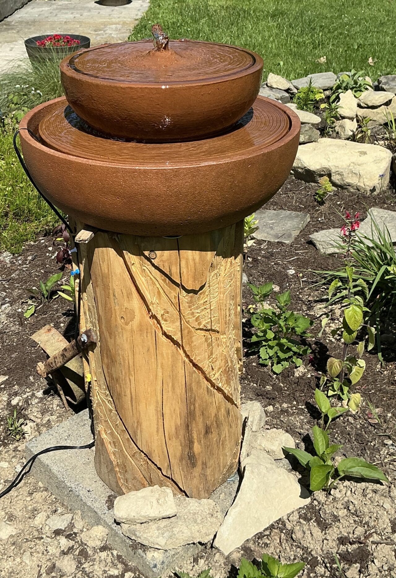 Garden for Birds – Great Backyard Bird Count