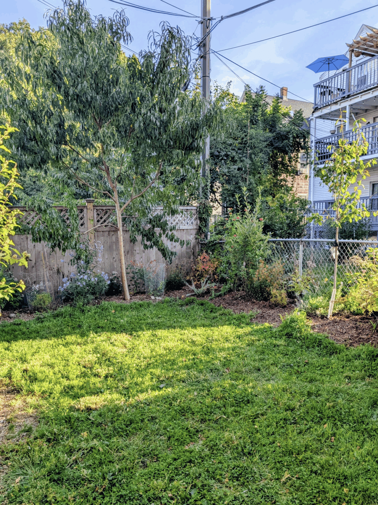Massachusetts 2025 – Great Backyard Bird Count